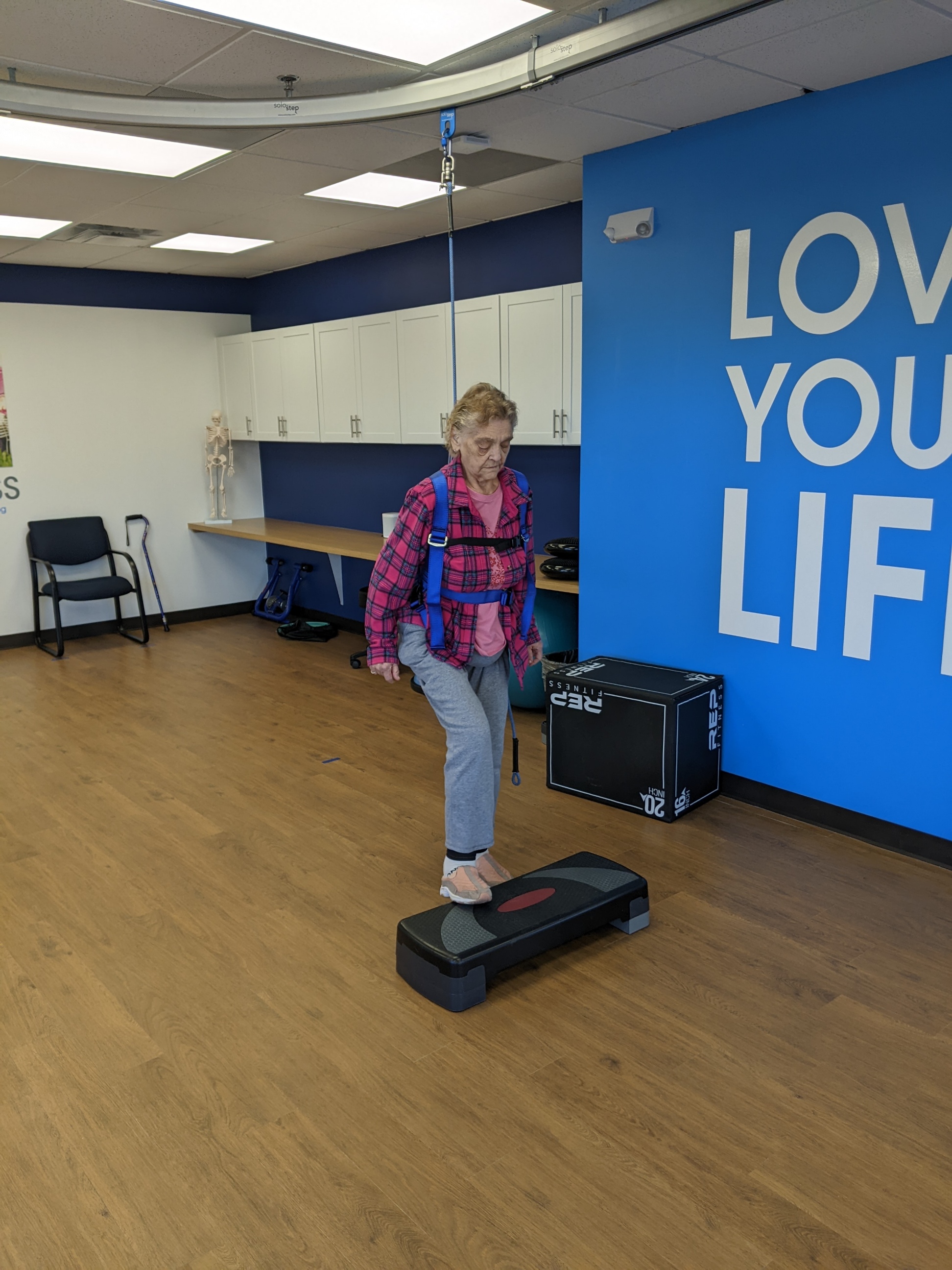 Balance Therapy with our Saftey Overhead Support System. Since opening ...